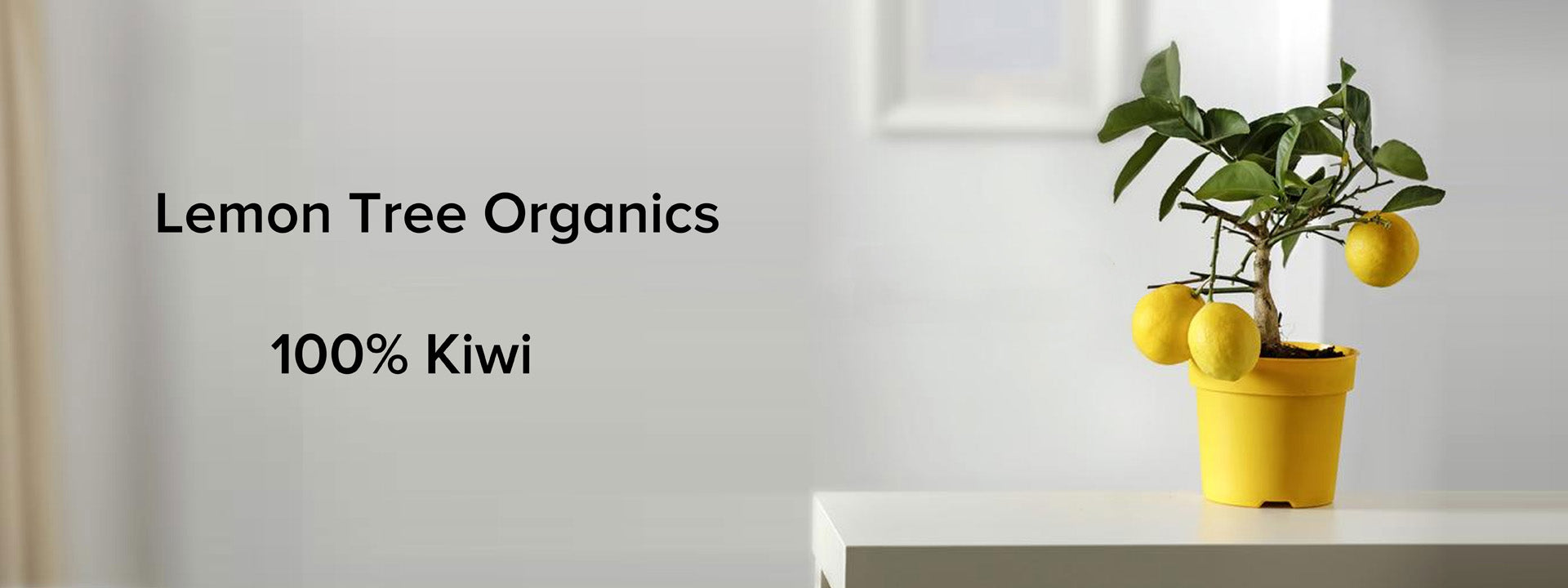 Lemon Tree Organics